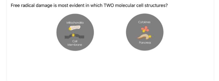 Solved Free radical damage is most evident in which TWO | Chegg.com