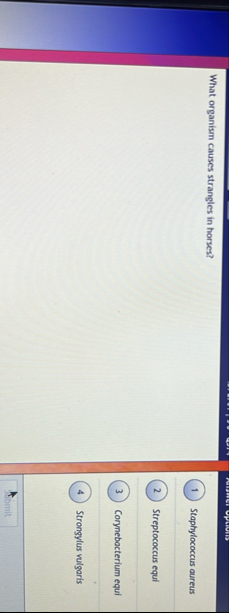 Solved What organism causes strangles in | Chegg.com