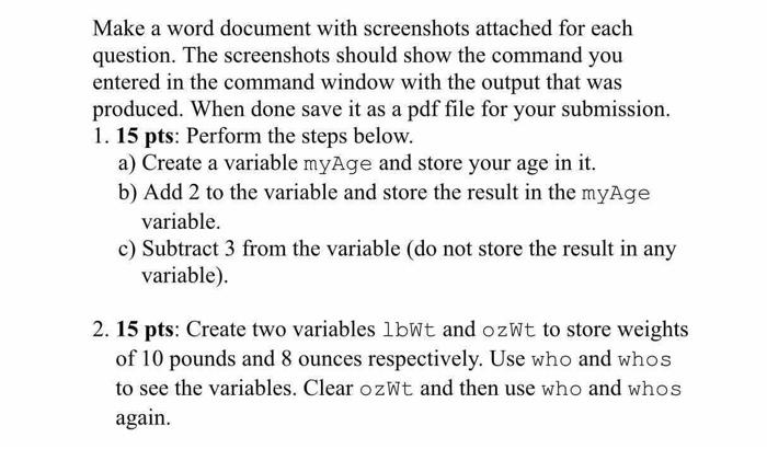 Solved Make a word document with screenshots attached for | Chegg.com