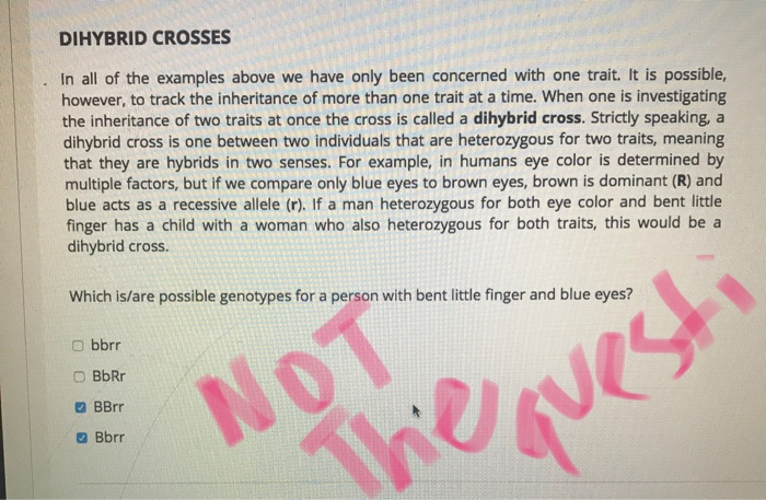 Solved DIHYBRID CROSSES In all of the examples above we have | Chegg.com