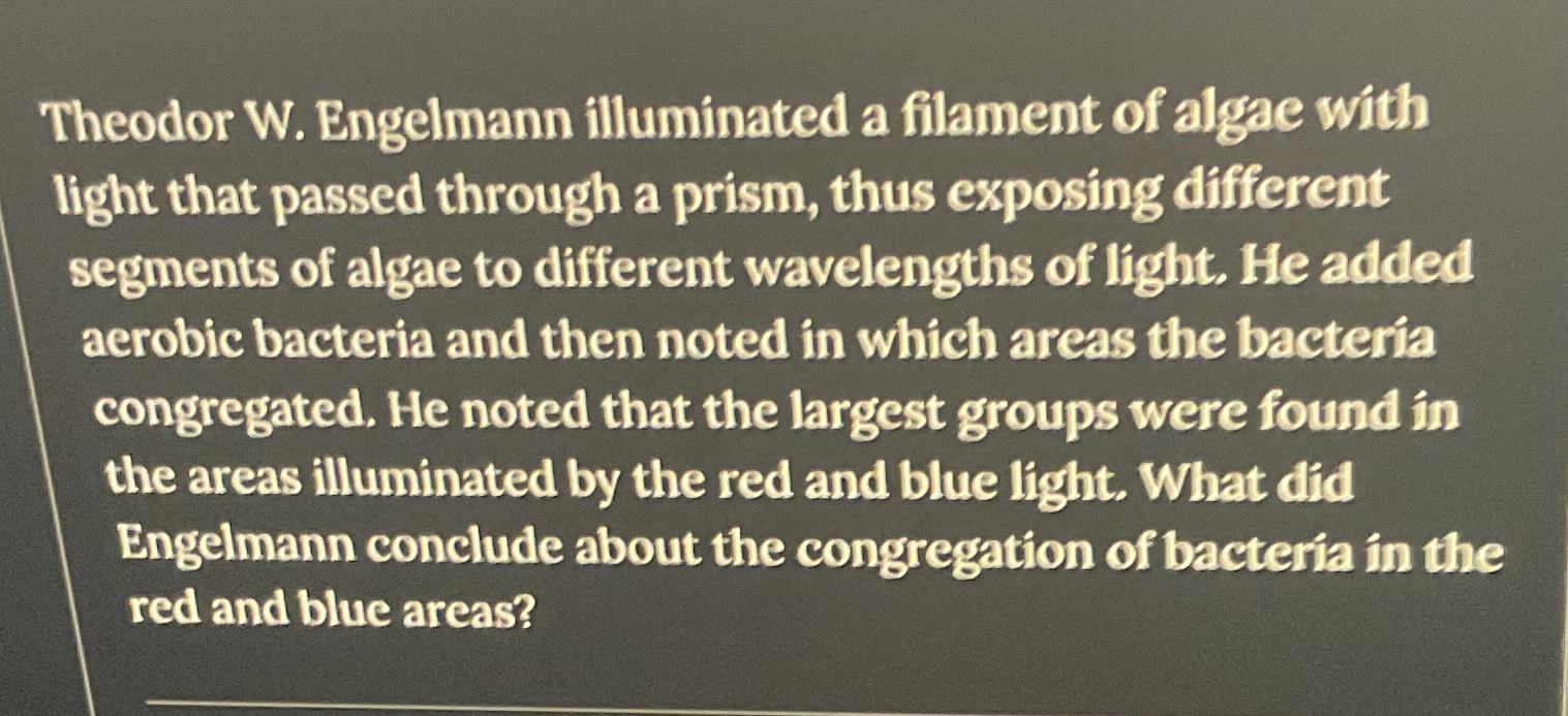 Solved Theodor W. ﻿Engelmann illuminated a filament of algae | Chegg.com