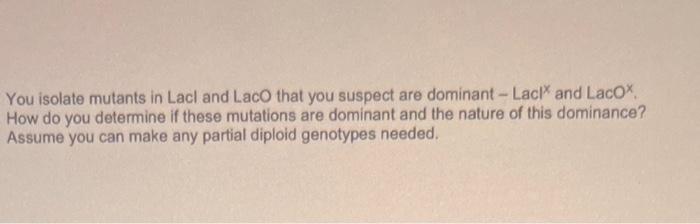 Solved You isolate mutants in Lacl and LacO that you suspect | Chegg.com
