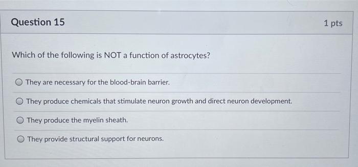 Solved Question 25 1 pts A "homunculus" ("little man") is a | Chegg.com
