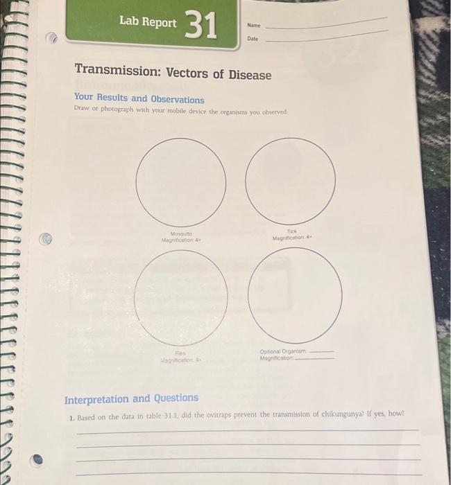 Lab Report 31 Name Transmission: Vectors of Disease | Chegg.com