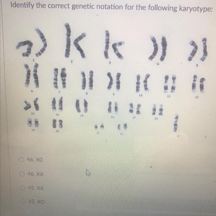 Solved a) Kk l! If If if in if : | Chegg.com