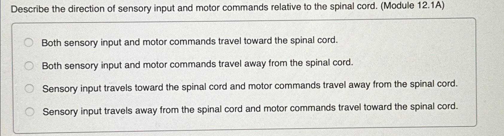 Solved Describe the direction of sensory input and motor | Chegg.com