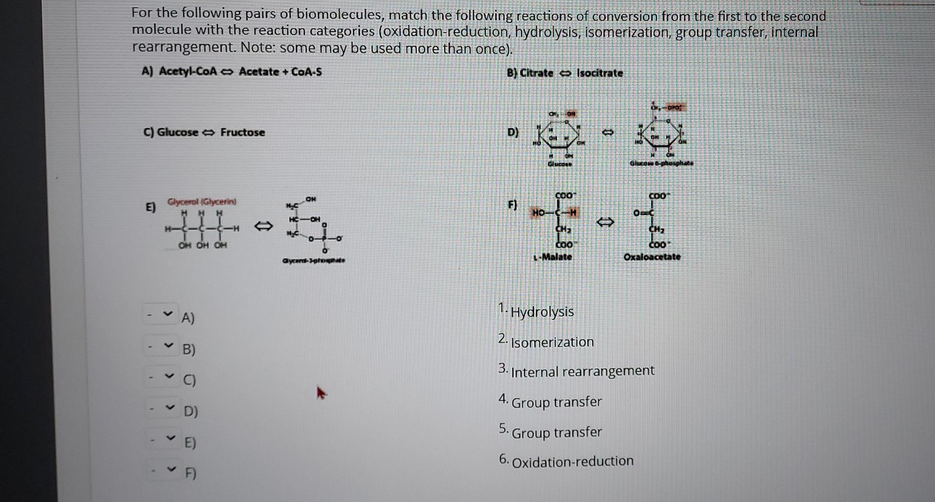 Solved For the following pairs of biomolecules, match the | Chegg.com