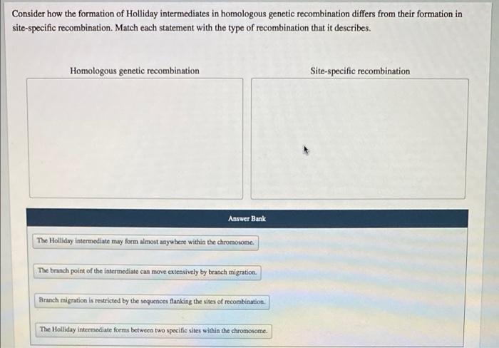 Solved Consider how the formation of Holliday intermediates | Chegg.com