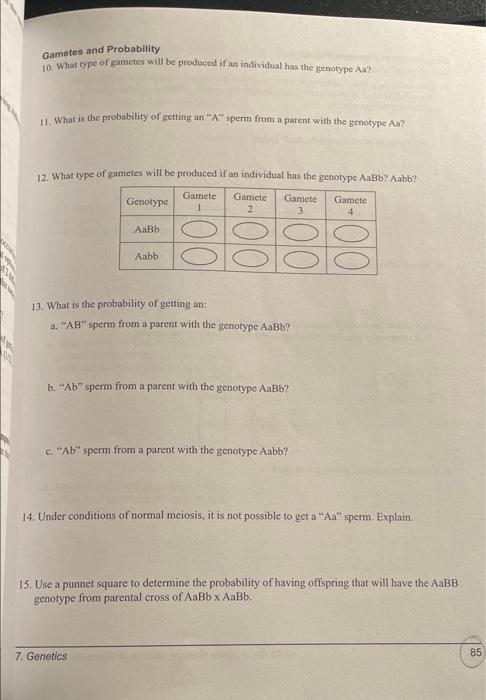Solved Gametes and Probability 10. What type of gametes will | Chegg.com