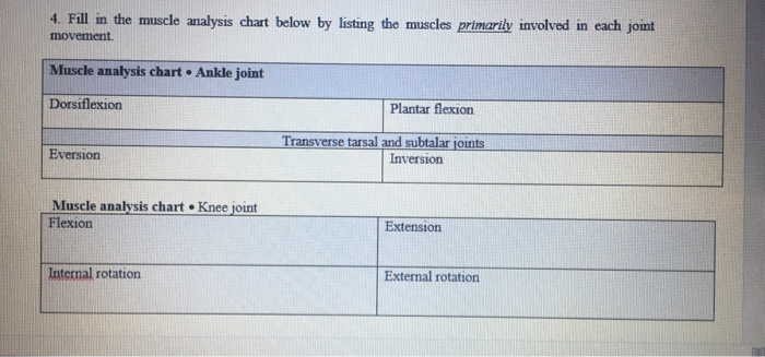 Solved 4. Fill in the muscle analysis chart below by listing | Chegg.com