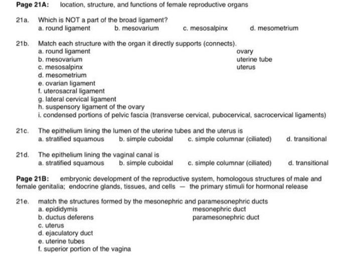 Solved Page 21A: location, structure, and functions of | Chegg.com