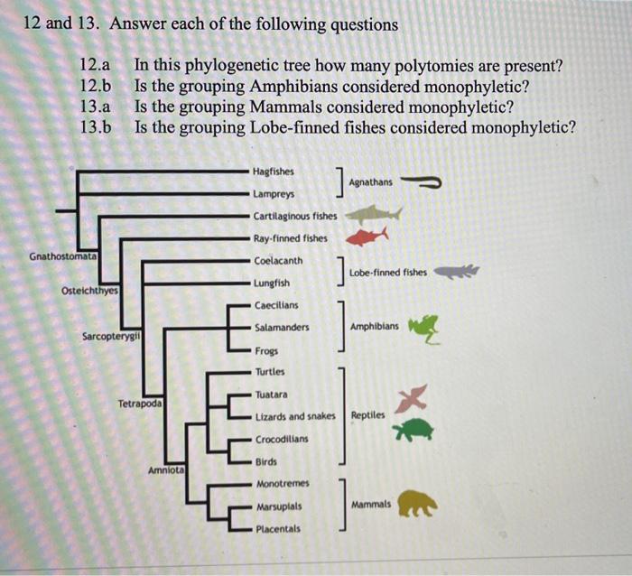 Solved 12 and 13. Answer each of the following questions | Chegg.com