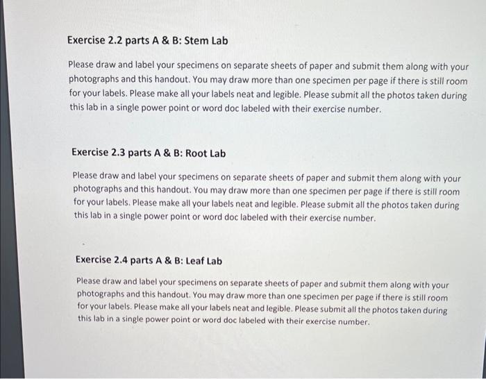 Solved Exercise 2.2 parts A \& B: Stem Lab Please draw and | Chegg.com