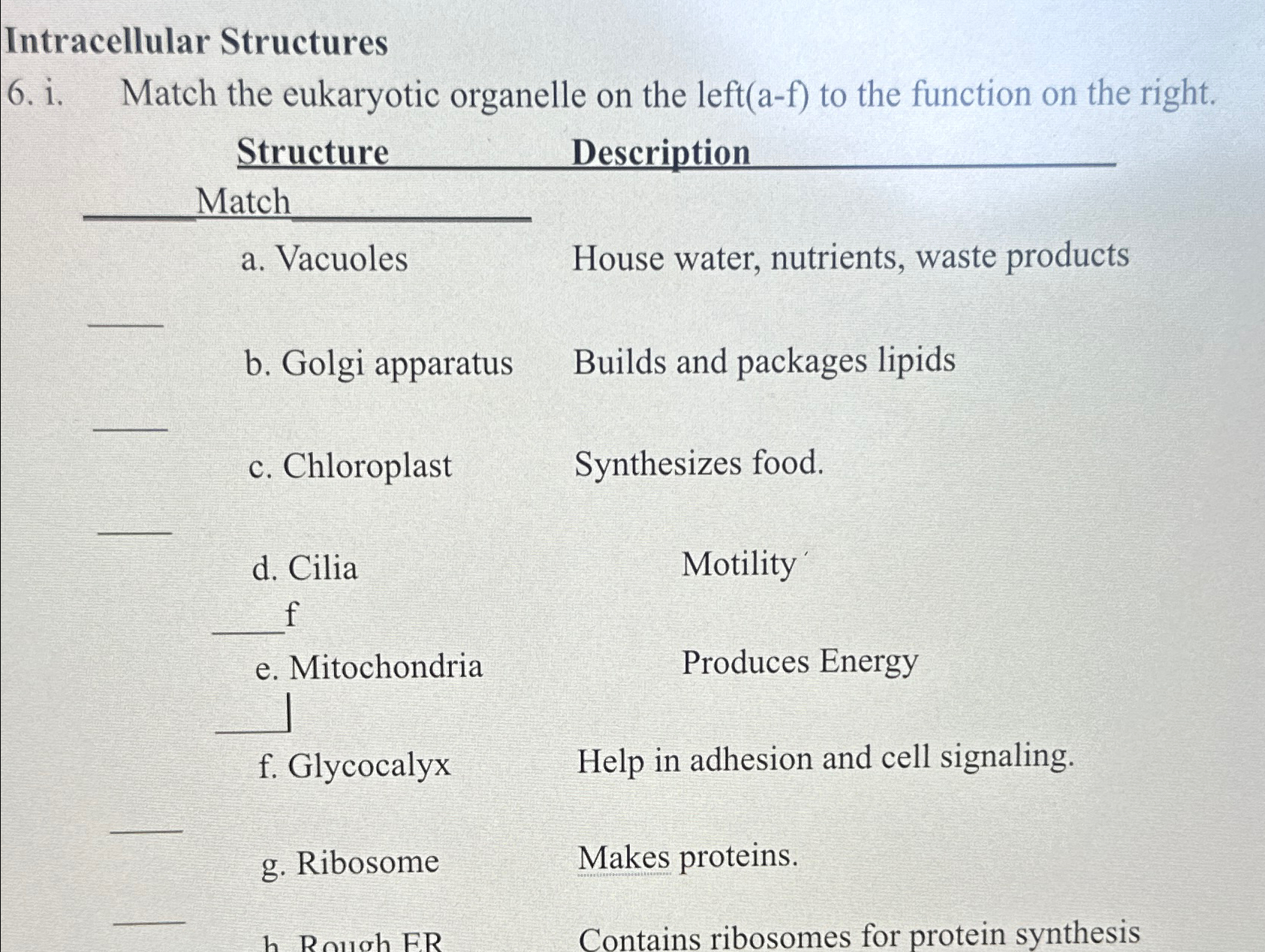 Solved Intracellular Structures\\n6. i. Match the eukaryotic | Chegg.com