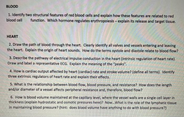 Solved 1. Identify two structural features of red blood | Chegg.com Solved 1. Identify two structural features of red blood | Chegg.com