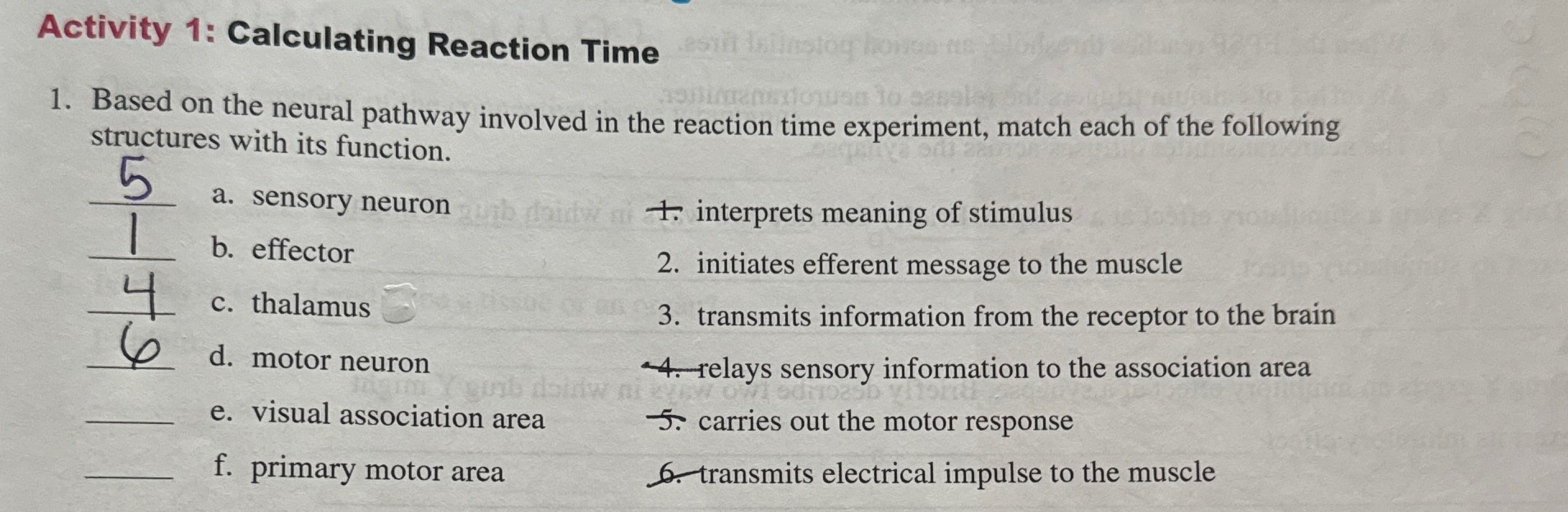 Solved Activity 1: Calculating Reaction TimeBased on the | Chegg.com