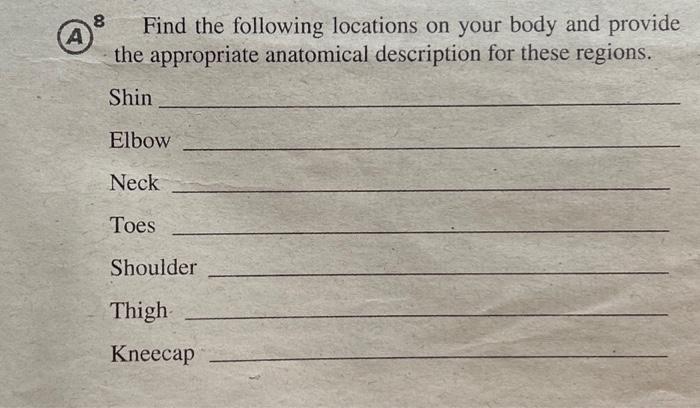 Solved 4) Find the following locations on your body and | Chegg.com