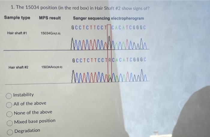 1. The 15034 position (in the red box) in Hair Shaft | Chegg.com