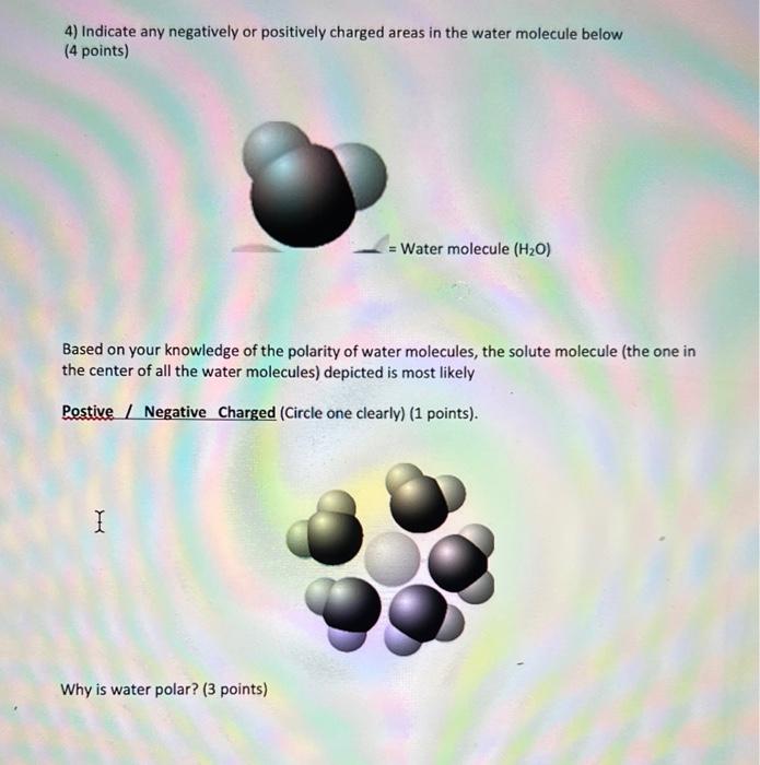 Solved 4) Indicate any negatively or positively charged | Chegg.com