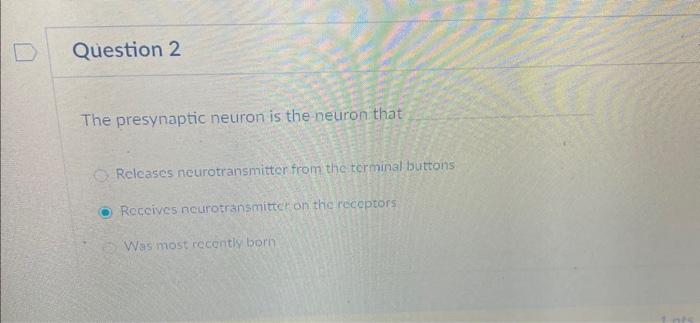 Solved The presynaptic neuron is the neuron that Releases | Chegg.com
