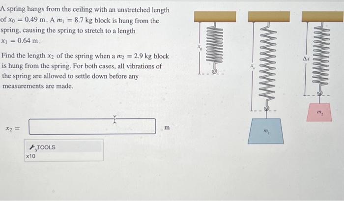 Solved A spring hangs from the ceiling with an unstretched | Chegg.com
