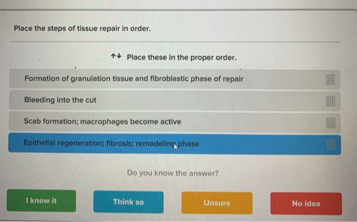 Solved Place the steps of tissue repair in order. 1 Place | Chegg.com