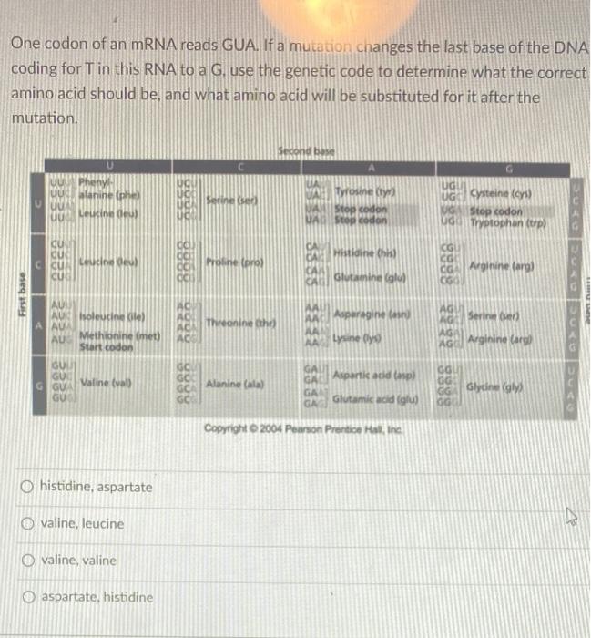 Solved One codon of an mRNA reads GUA. If a mutation changes | Chegg.com