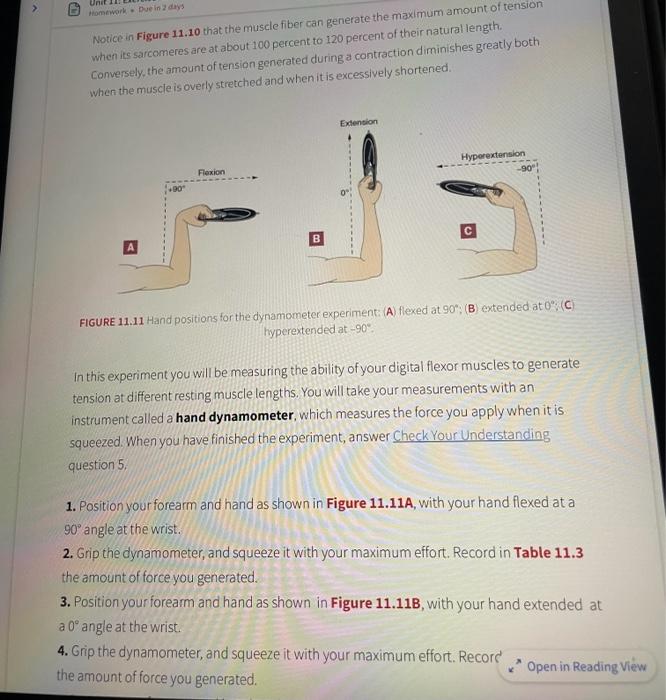 Procedure 2 Measuring the Length-Tension Relationship | Chegg.com