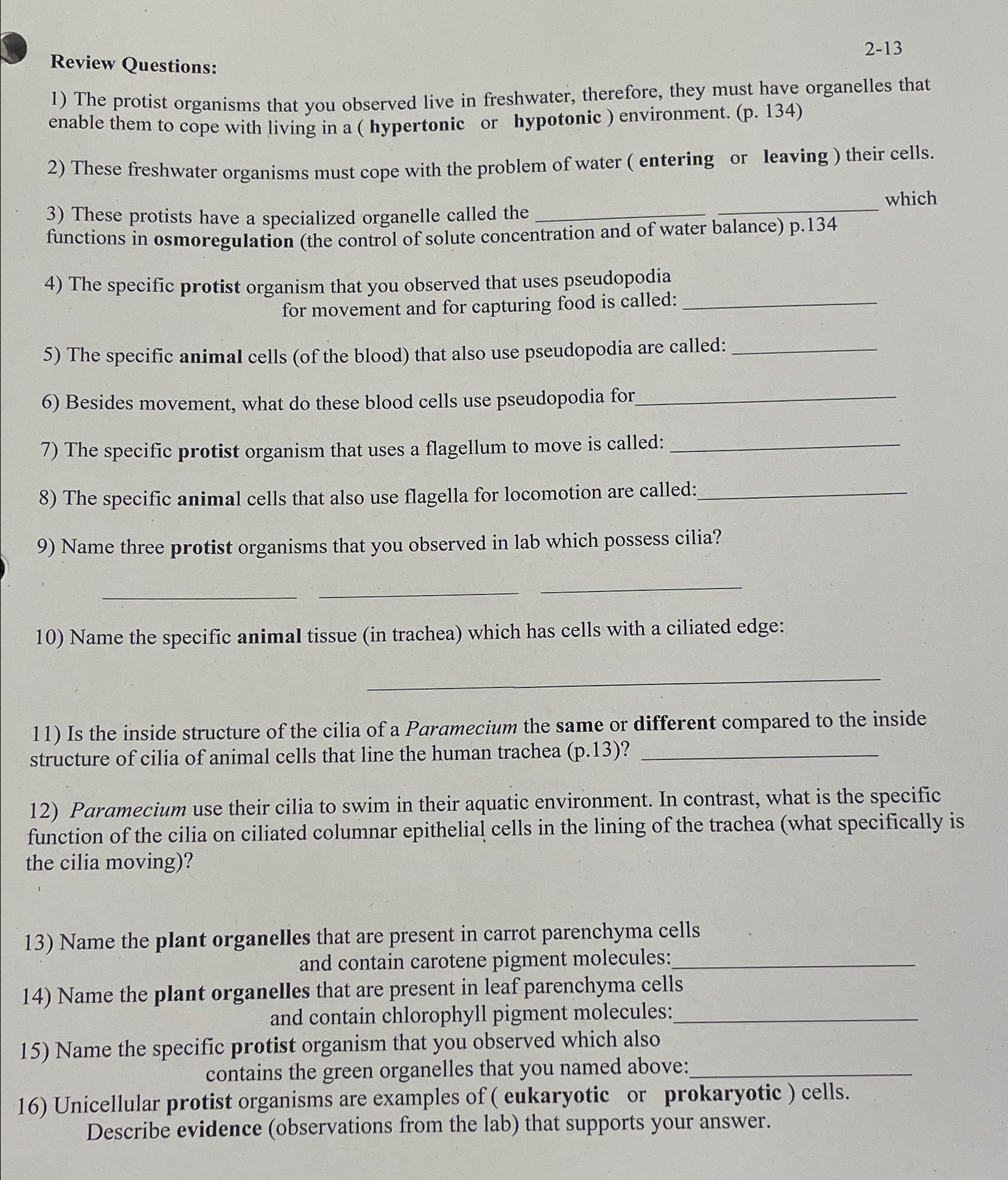 Solved Review Questions:2-13The protist organisms that you | Chegg.com
