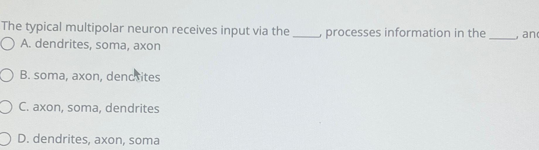 Solved The typical multipolar neuron receives input via | Chegg.com