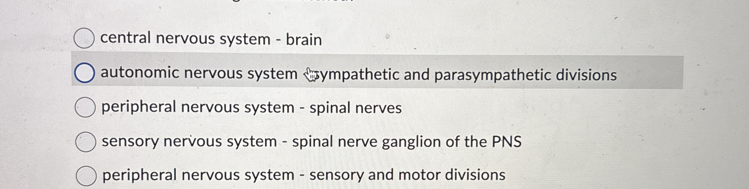 Solved central nervous system - ﻿brainautonomic nervous | Chegg.com