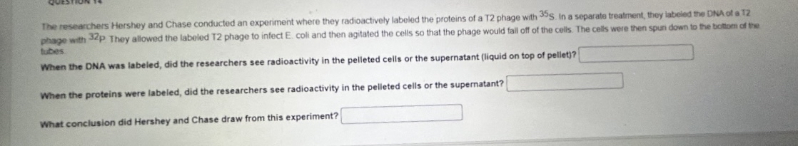 Solved The researchers Hershey and Chase conducted an | Chegg.com
