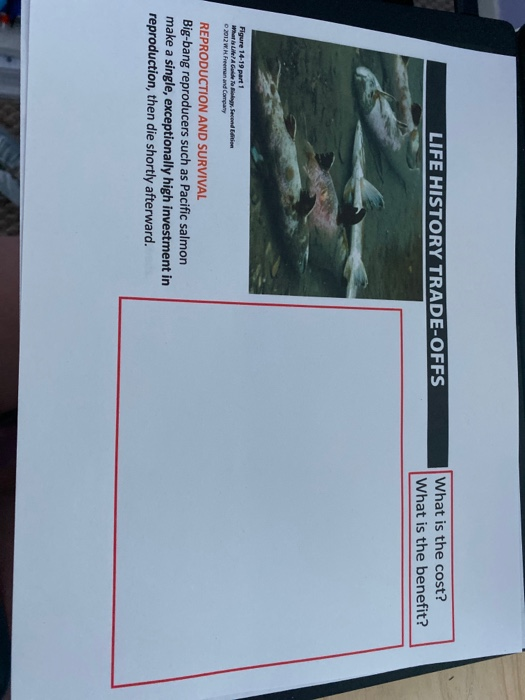 DELL What makes a population rare? Geographic Range | Chegg.com