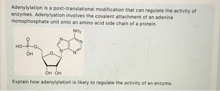 Solved Adenylylation is a post-translational modification | Chegg.com