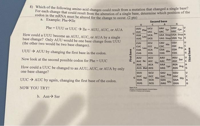 Solved 8) Which of the following amino acid changes could | Chegg.com