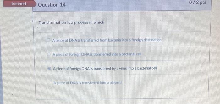 Solved Transformation is a process in which Apiece of DNA is | Chegg.com