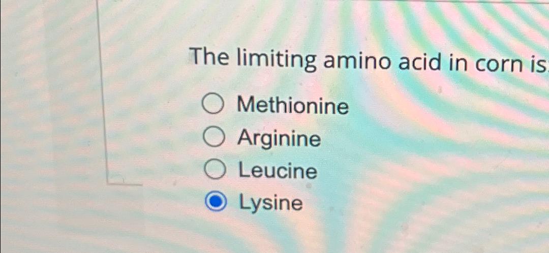 Solved The limiting amino acid in corn | Chegg.com