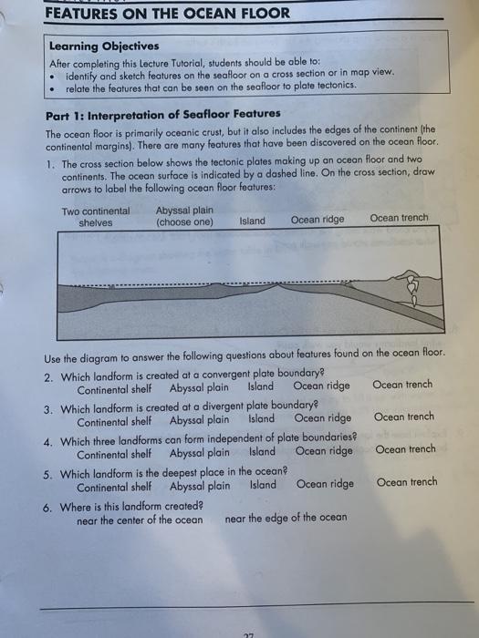 Solved FEATURES ON THE OCEAN FLOOR Learning Objectives After | Chegg.com