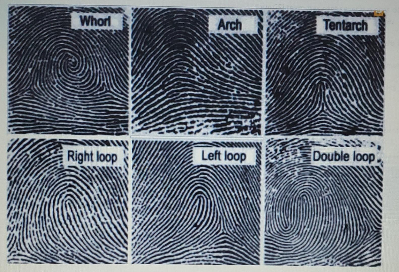 Old MathJax webview | Chegg.com