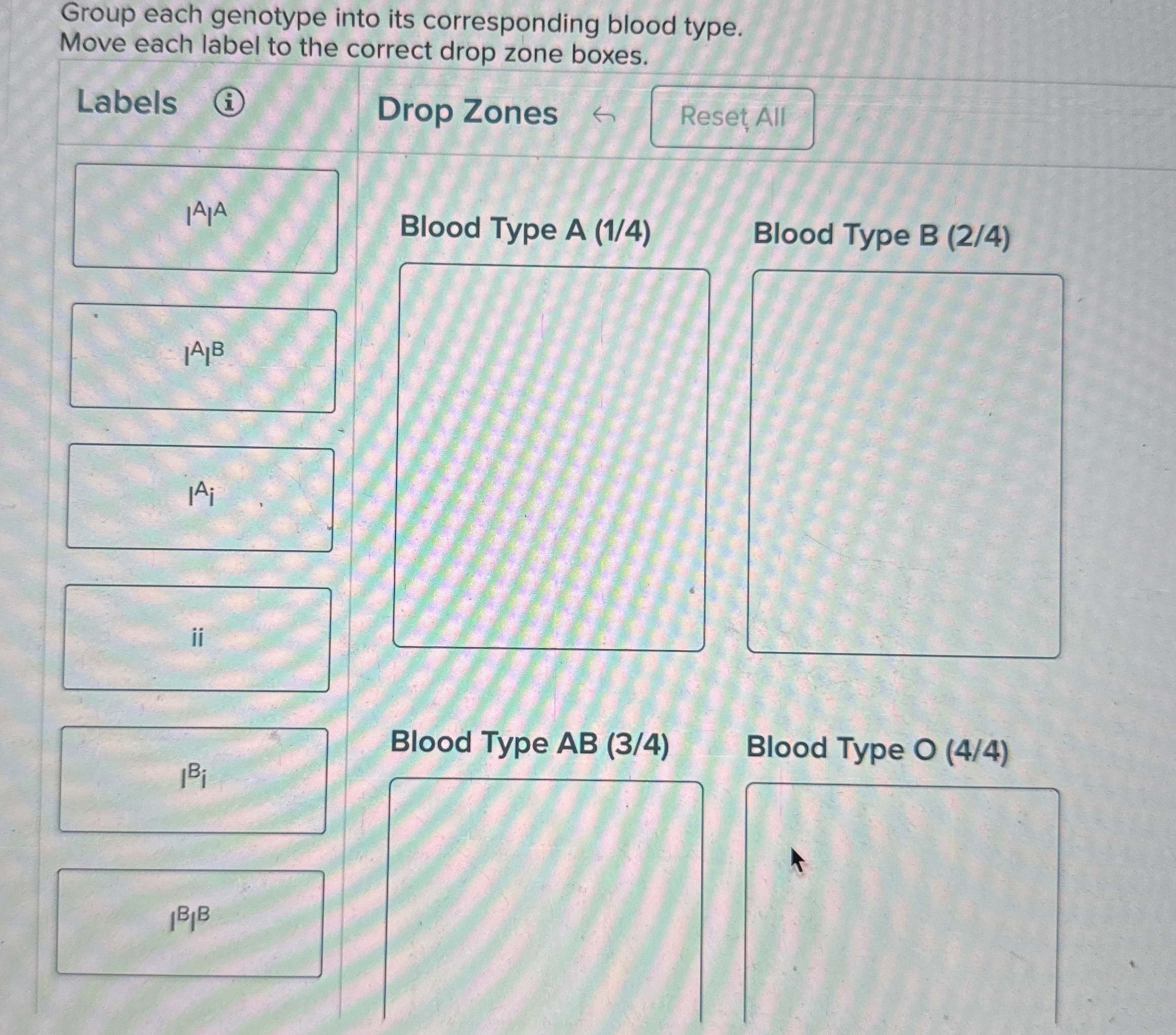 Solved Group each genotype into its corresponding blood | Chegg.com