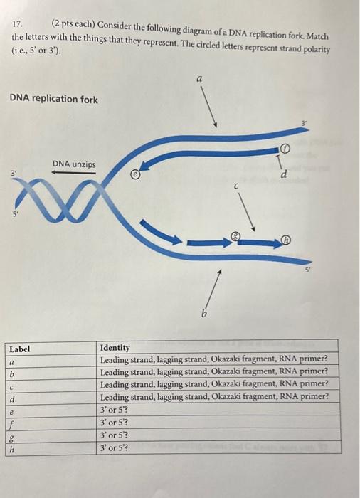 Solved 17. (2 pts each) Consider the following diagram of a | Chegg.com