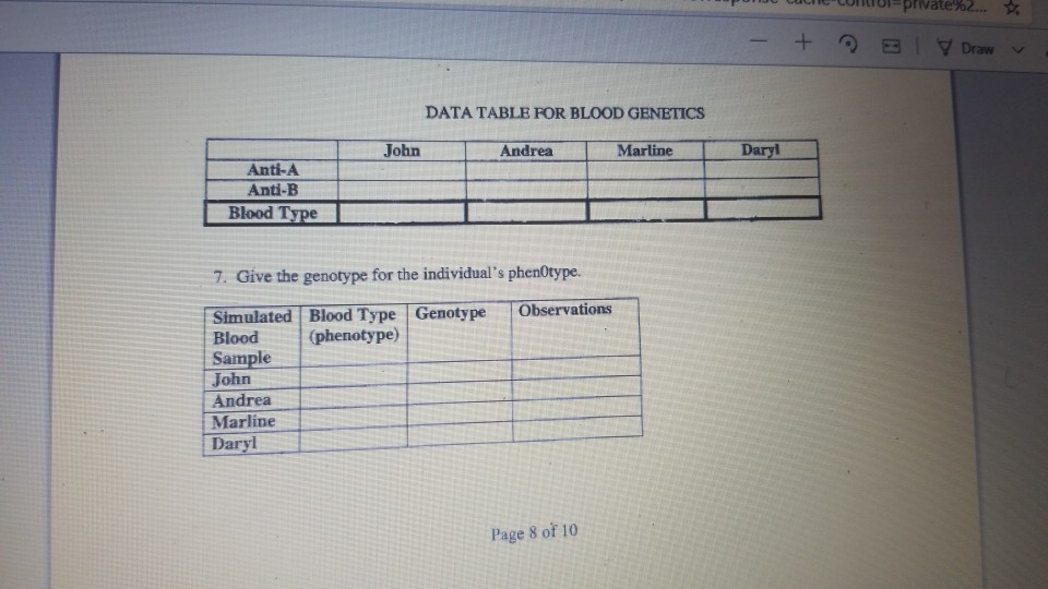 Solved CLASS DATA TABLE FOR BLOOD TYPING Sample 1 Sample 2 | Chegg.com