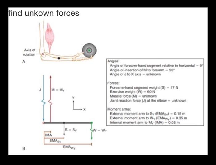 Solved find the unknown forcesThere is three unknowns1- | Chegg.com