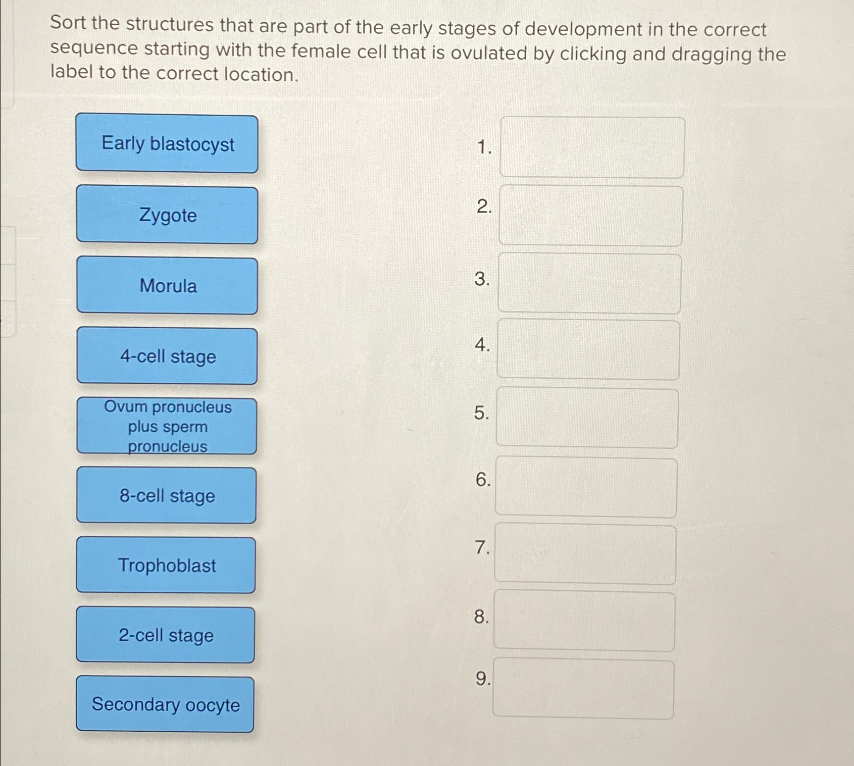 Solved Sort the structures that are part of the early stages | Chegg.com