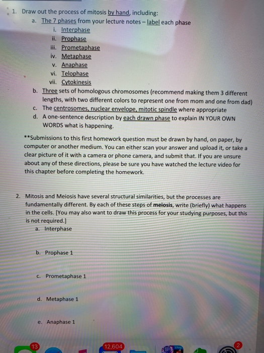 Solved : 1. Draw out the process of mitosis by hand, | Chegg.com