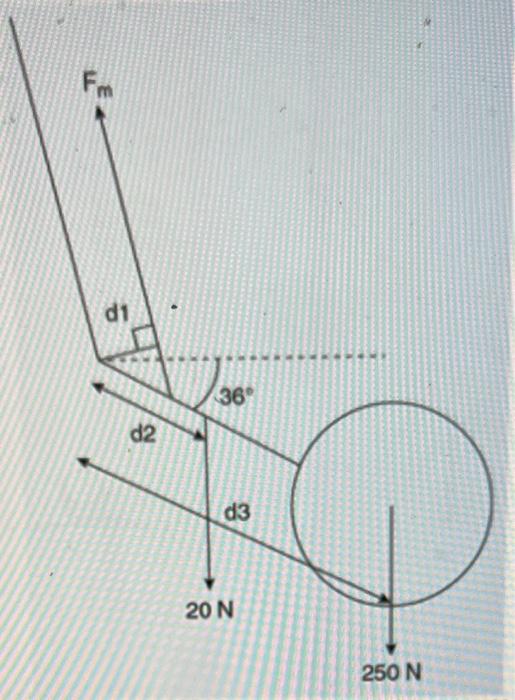 Solved Consider the free body diagram for the elbow joint | Chegg.com