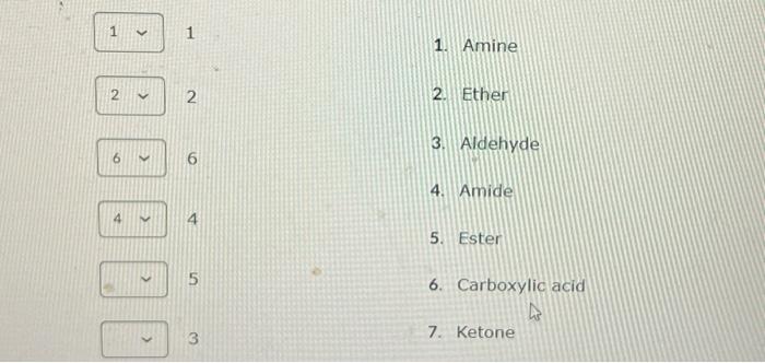 Solved Match the following structures or characteristics | Chegg.com