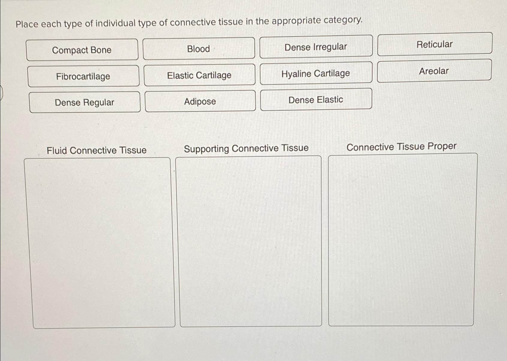 Solved Place each type of individual type of connective | Chegg.com