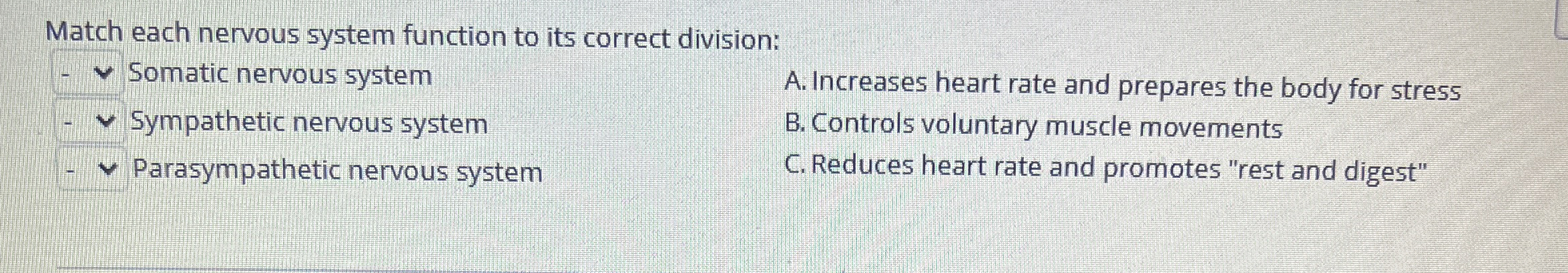 Solved Match each nervous system function to its correct | Chegg.com