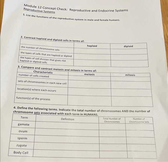 Solved Module 12 Concept Check: Reproductive and Endocrine | Chegg.com